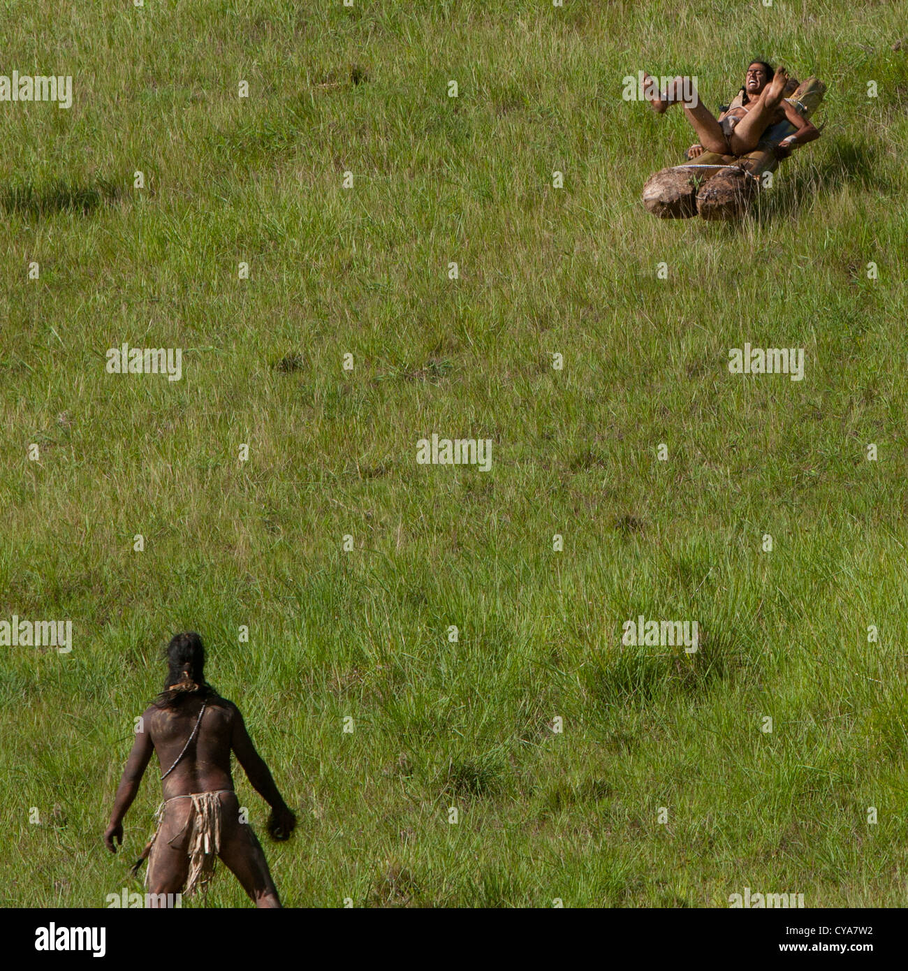 Man On Banana Trunk During Haka Pei Competition During Tapati Festival ...
