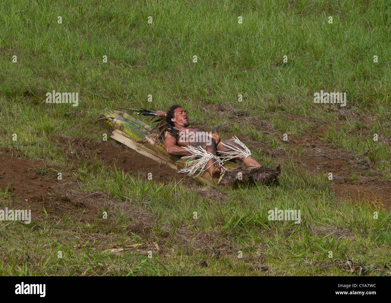 Man On Banana Trunk During Haka Pei Competition During Tapati Festival ...
