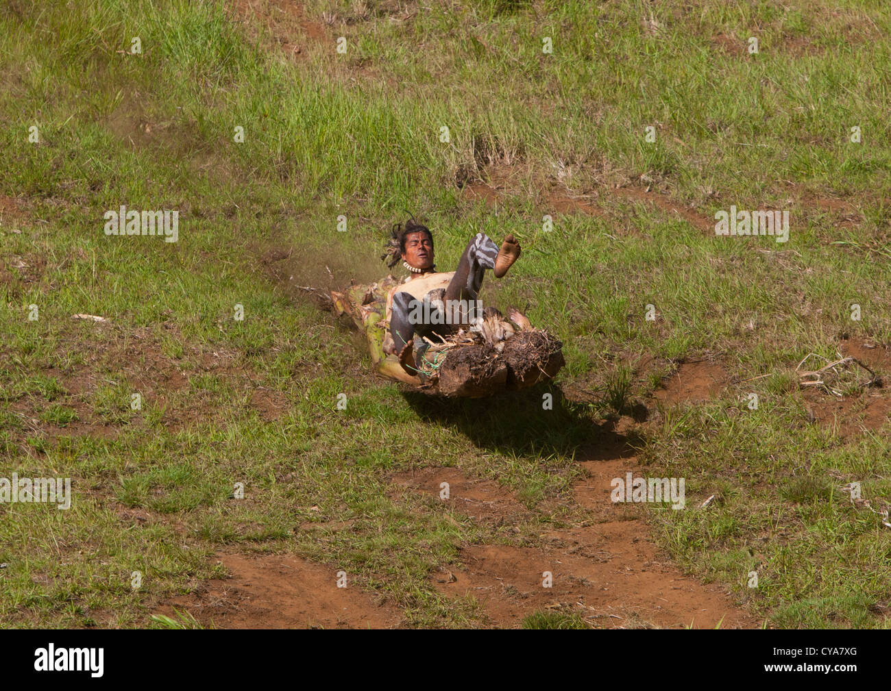 Man On Banana Trunk During Haka Pei Competition During Tapati Festival ...
