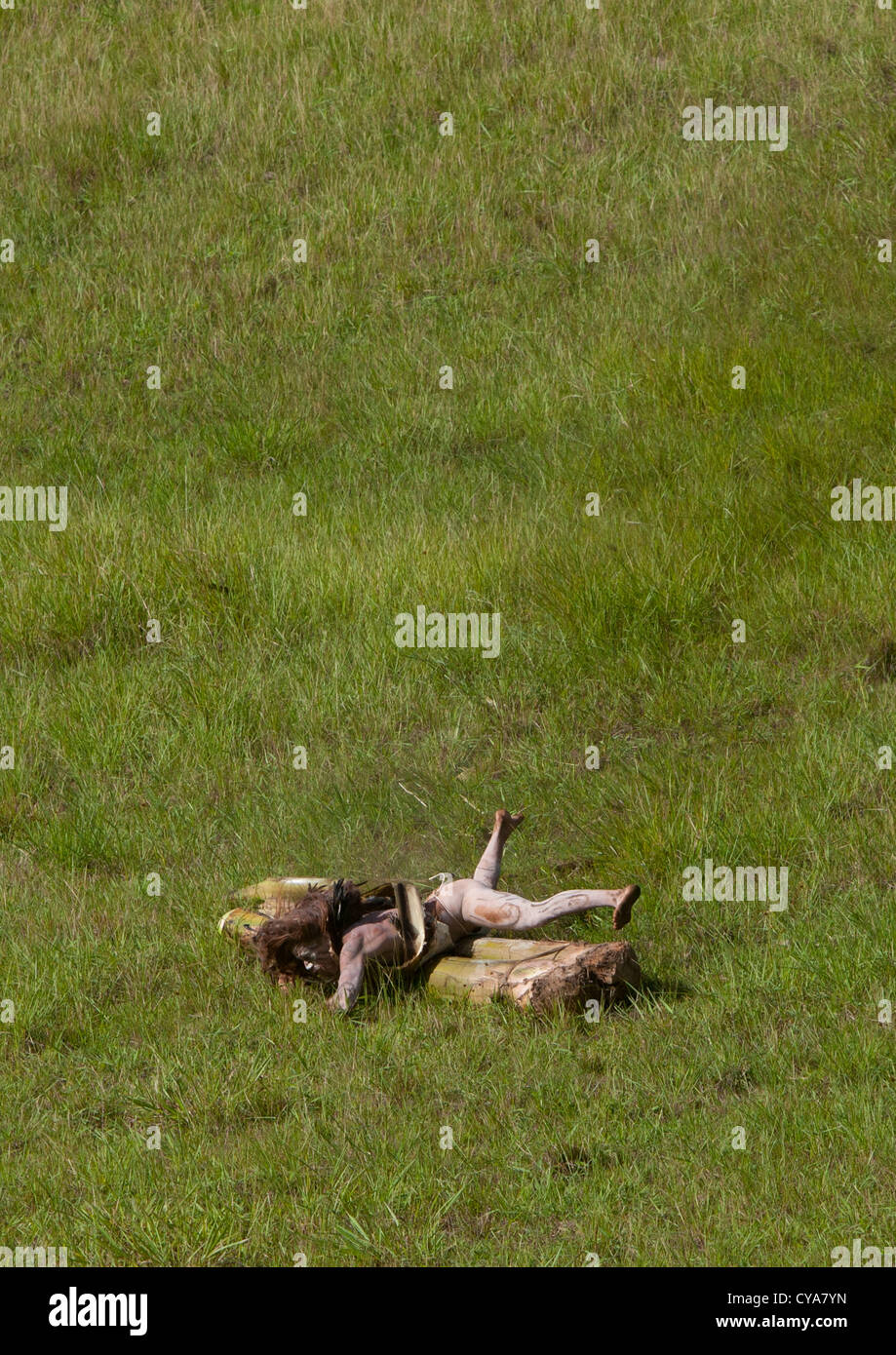 Man On Banana Trunk During Haka Pei Competition During Tapati Festival ...