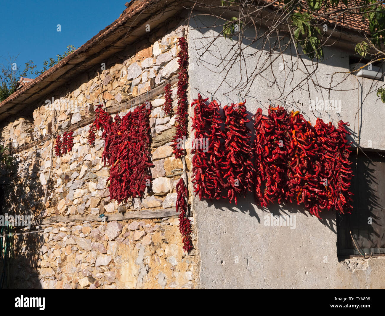 Traditional Macedonian house with red peppers drying outside in the ...
