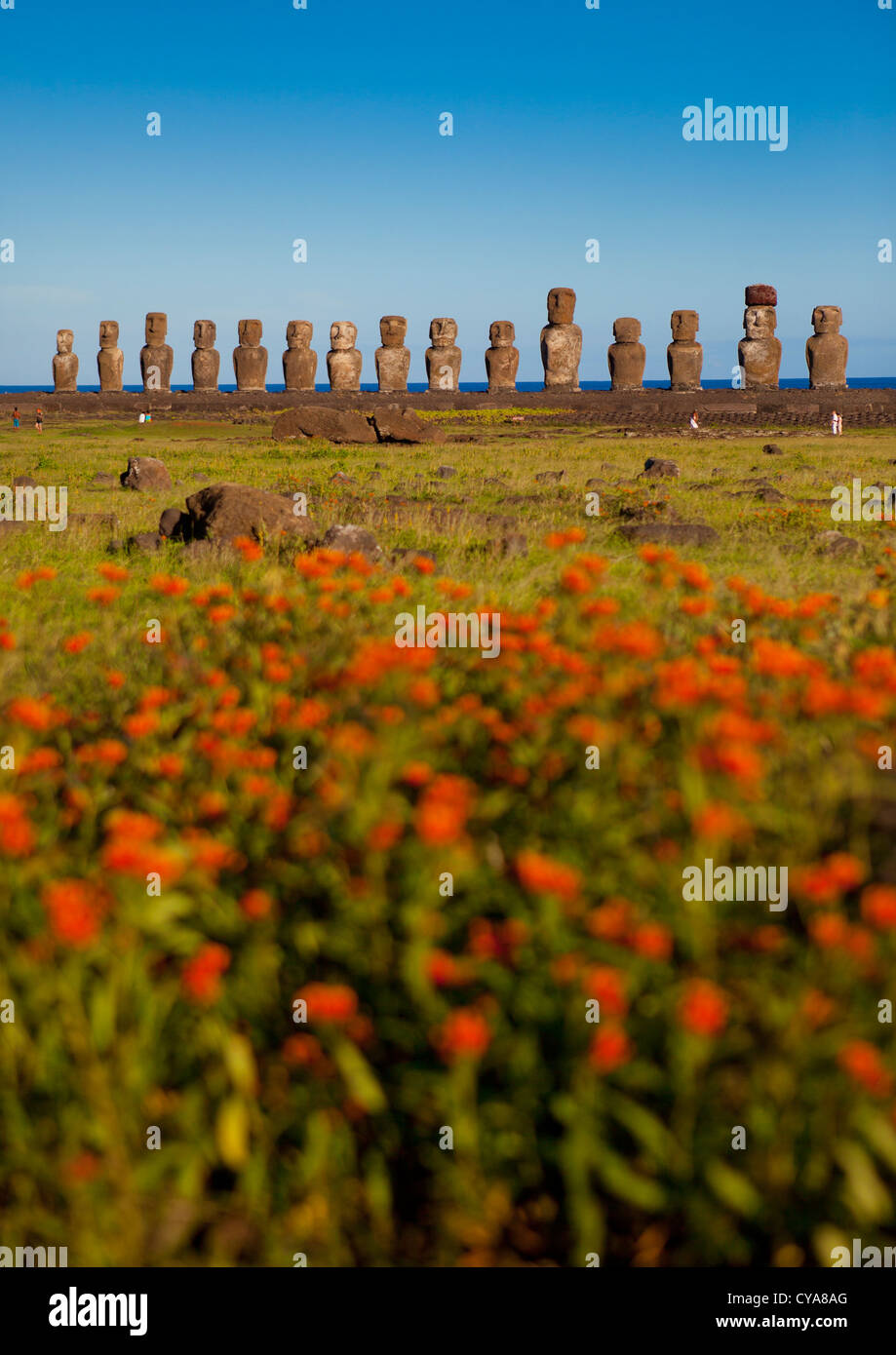 Monolithic Moai Statues At Ahu Tongariki, Easter Island, Chile Stock ...