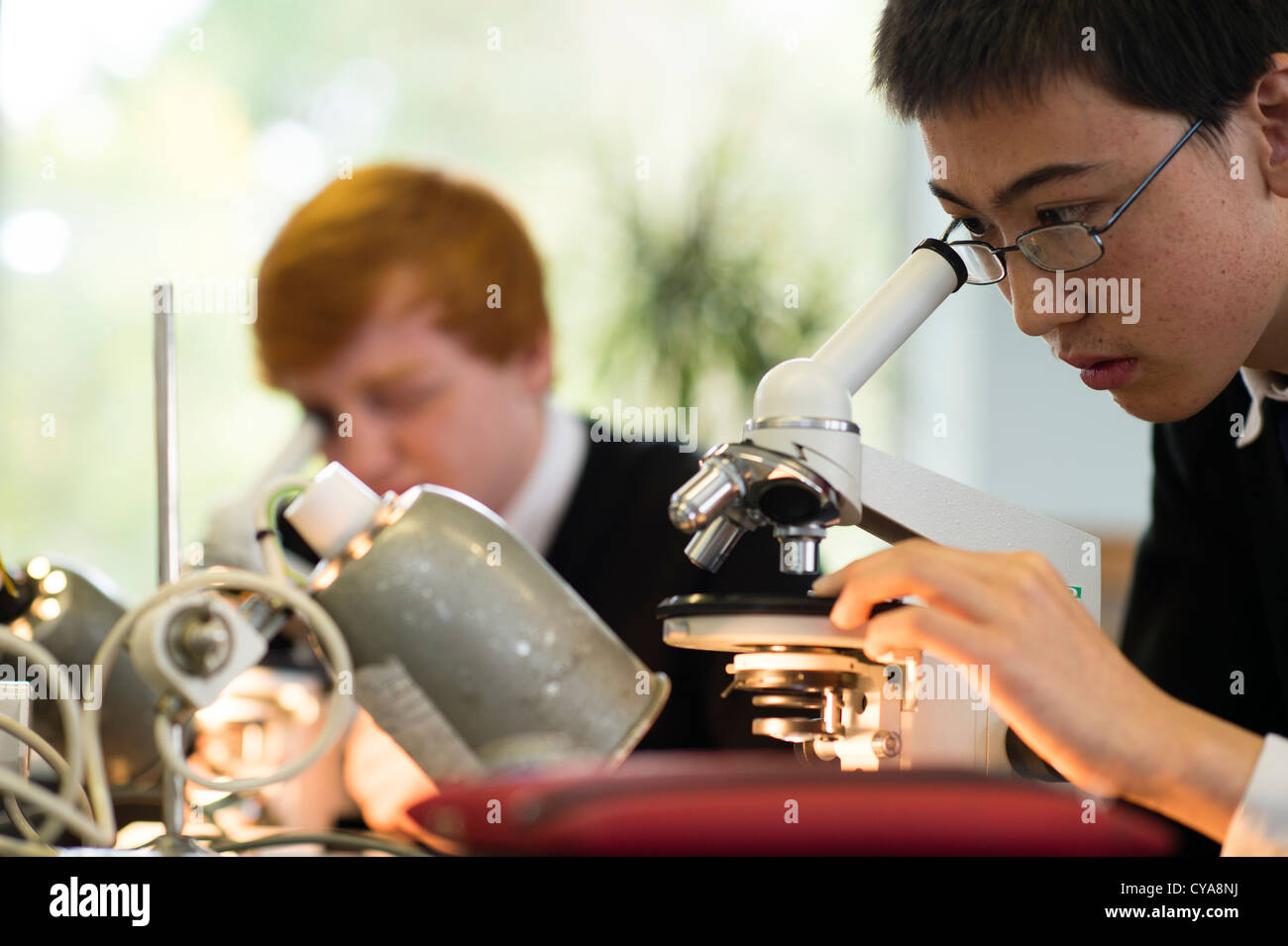 Students microscopes uk hi-res stock photography and images - Alamy