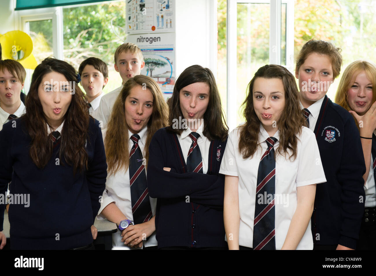 GCSE science biology class genetics lesson tongue rolling in a ...