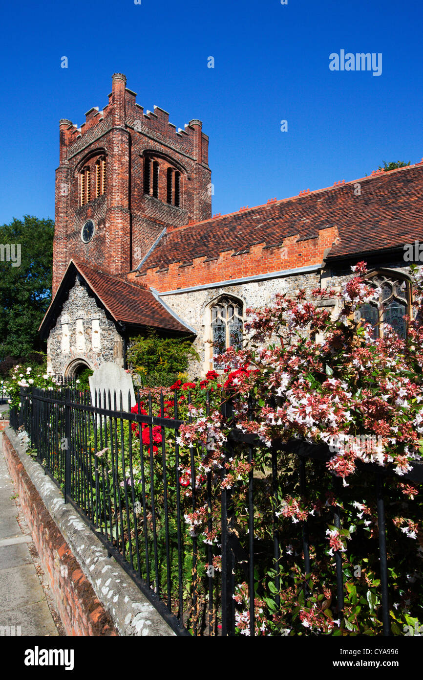 Elms hi-res stock photography and images - Alamy