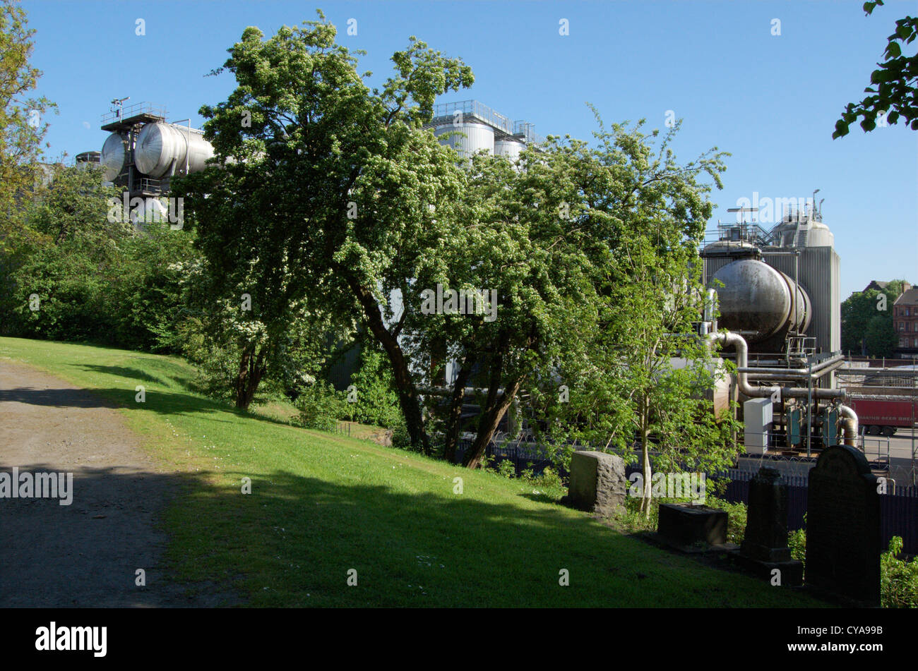 Brewery with open park area in the foreground Stock Photo - Alamy