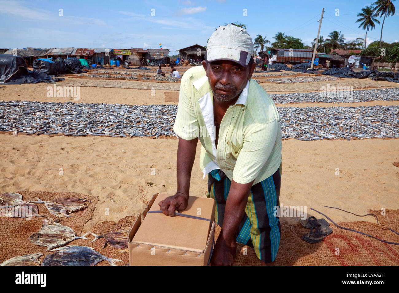 Negombo food market hi-res stock photography and images - Alamy