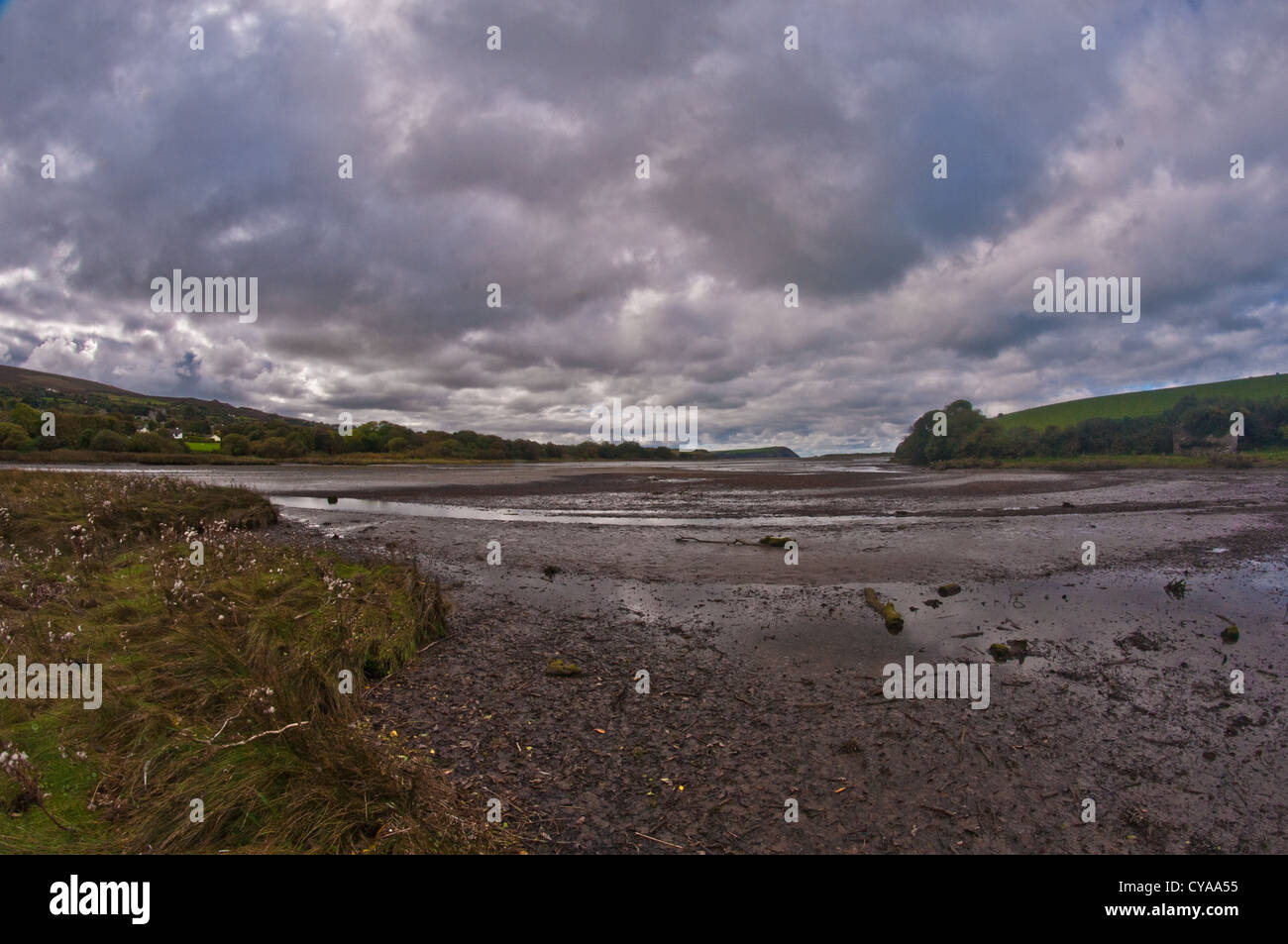 West wales hi-res stock photography and images - Alamy
