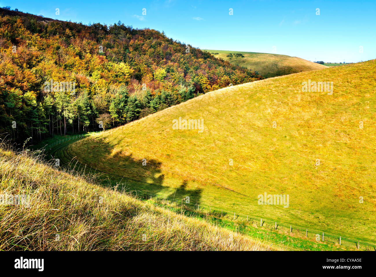 A view looking north up Deepdale on the Yorkshire Wolds on a bright ...