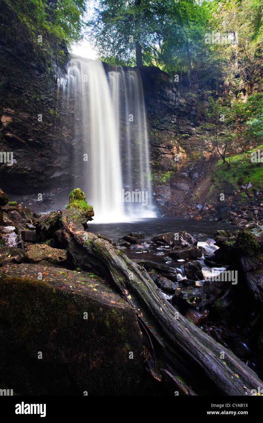 Whitfield Gill Force near Askrigg Wensleydale North Yorkshire England ...