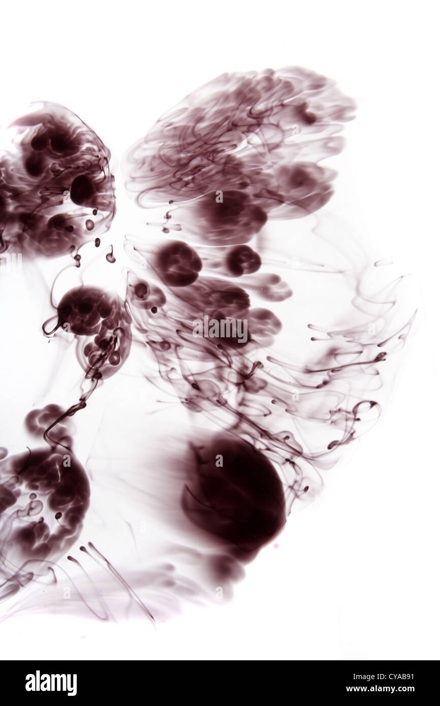 Abstract lines in black Cut Out Stock Images & Pictures - Alamy