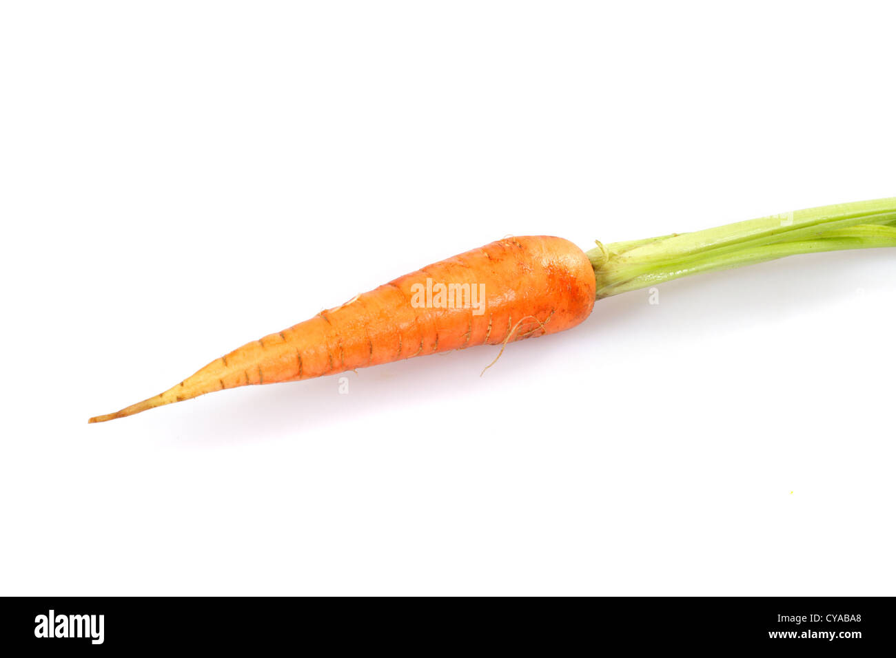 one carrot, photo on the white background Stock Photo - Alamy