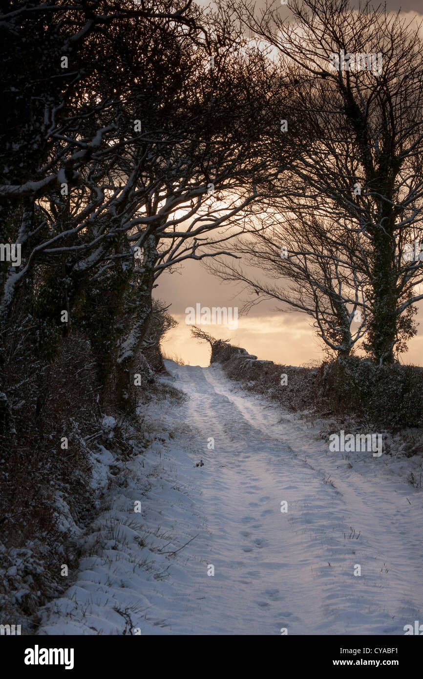 Covered lane hi-res stock photography and images - Alamy