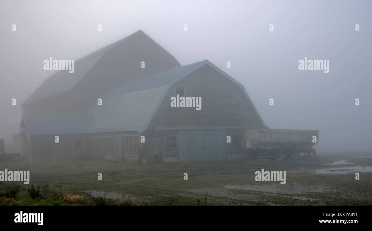 Barn shrouded in fog Stock Photo - Alamy