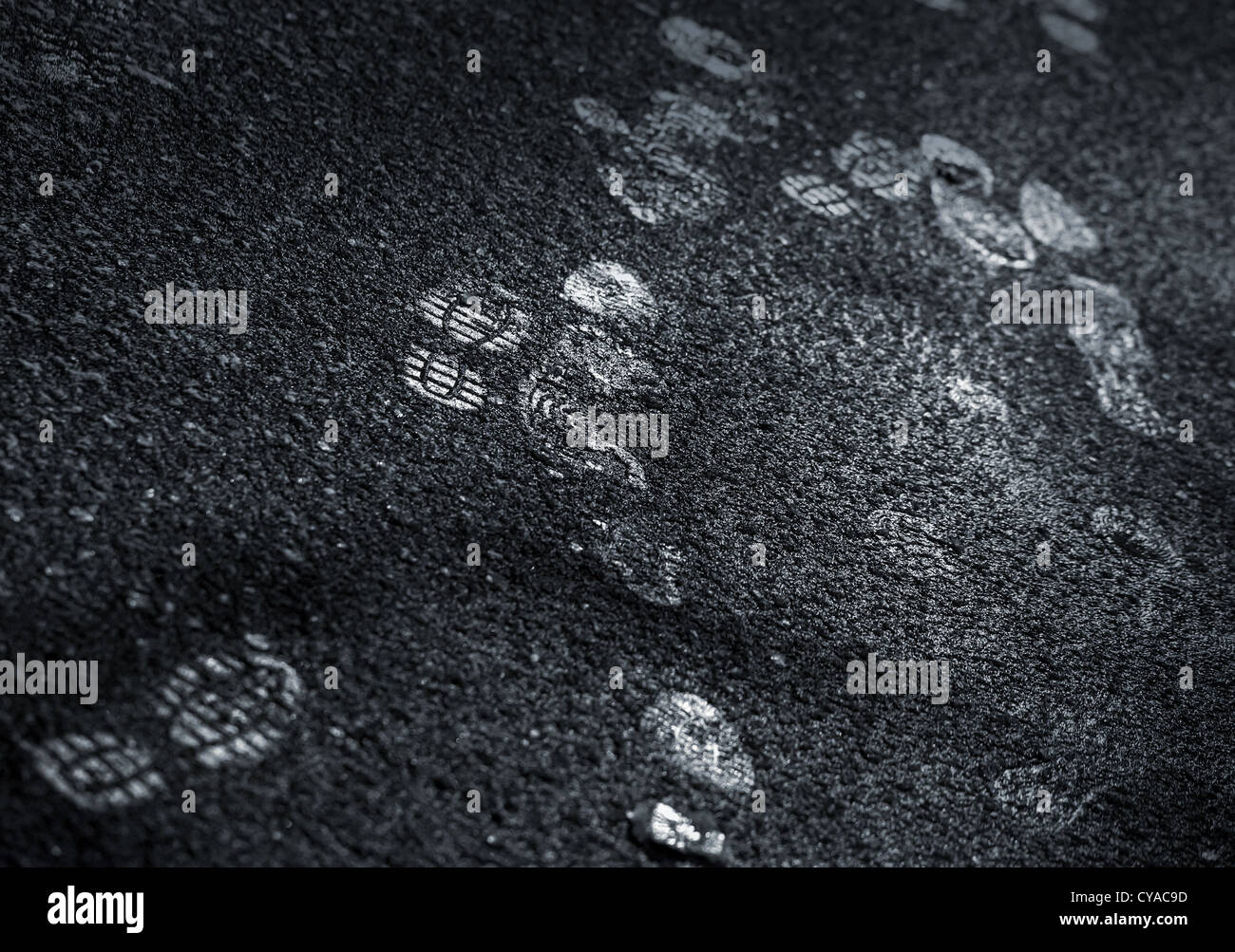 Shining footprints on the dark dirty asphalt road Stock Photo - Alamy