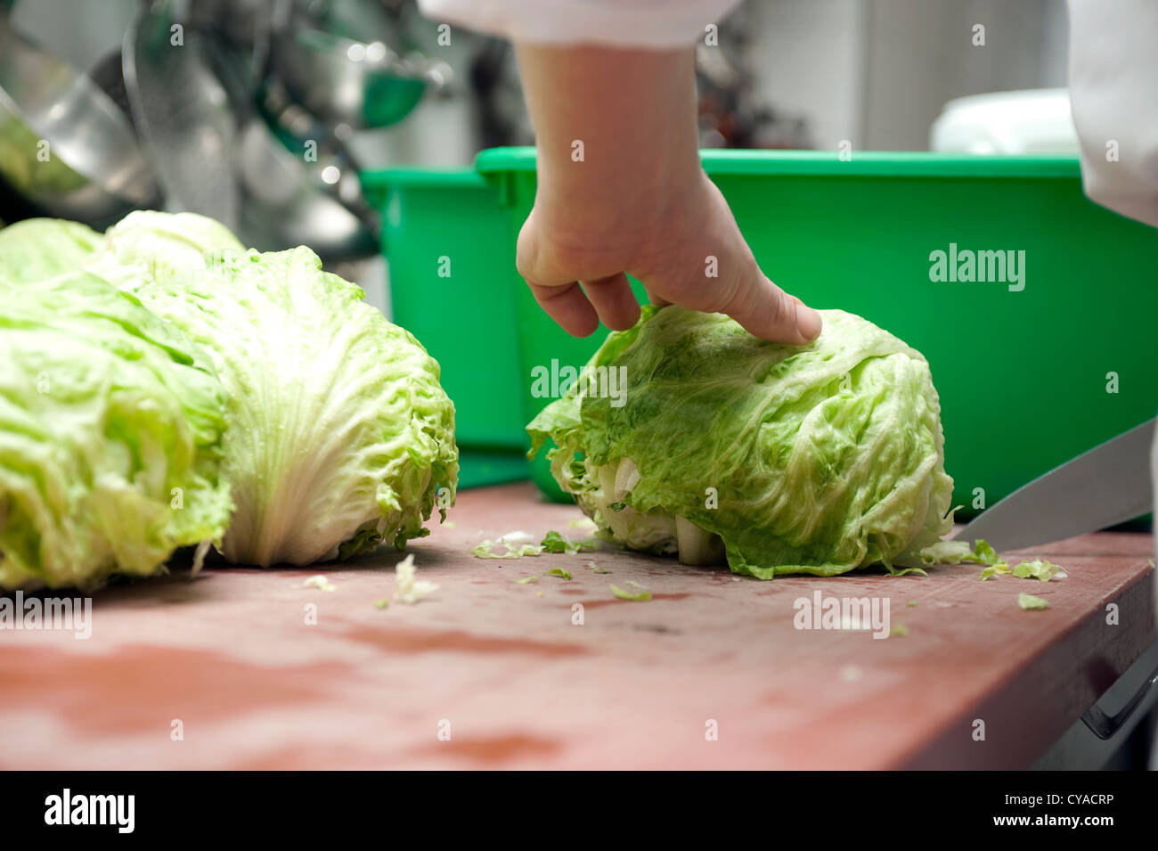 chef preparing lettuce Stock Photo - Alamy