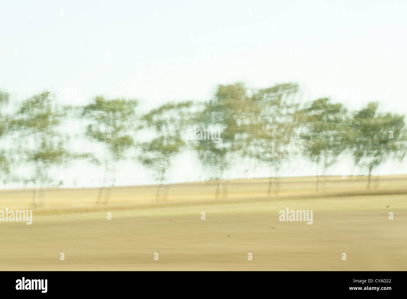 Smearing trees hi-res stock photography and images - Alamy