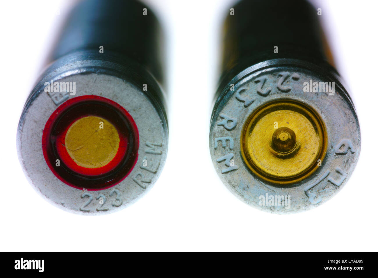 shotgun shells on white background Stock Photo - Alamy