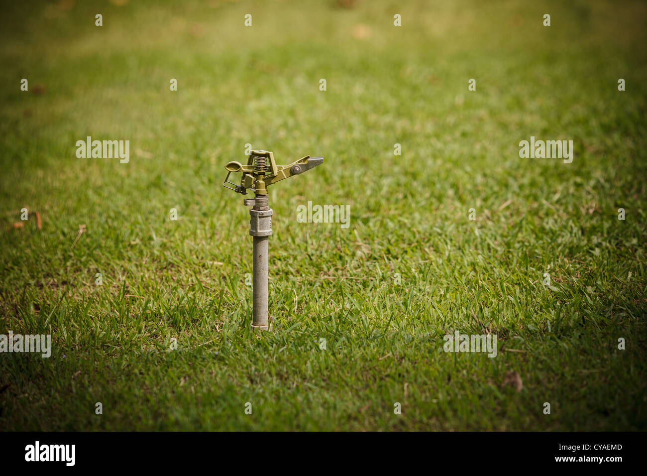 Garden lawn water sprinkler Stock Photo - Alamy