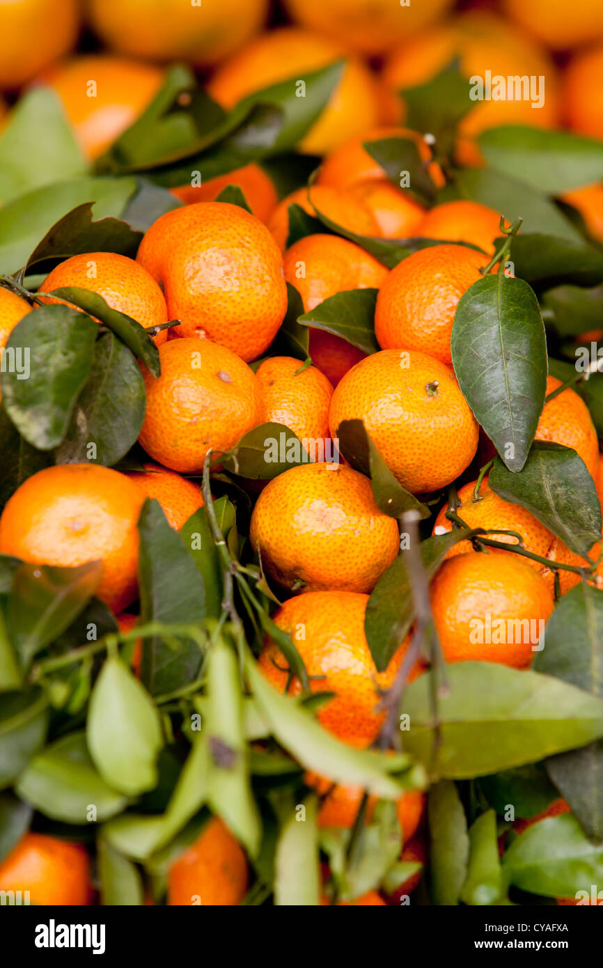 Closeup view of a pile of tangerines is displayed on a fruit stand in ...