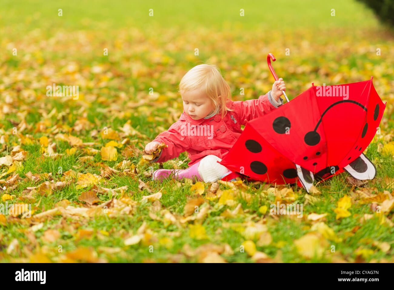 Kid collecting leaves hi-res stock photography and images - Alamy