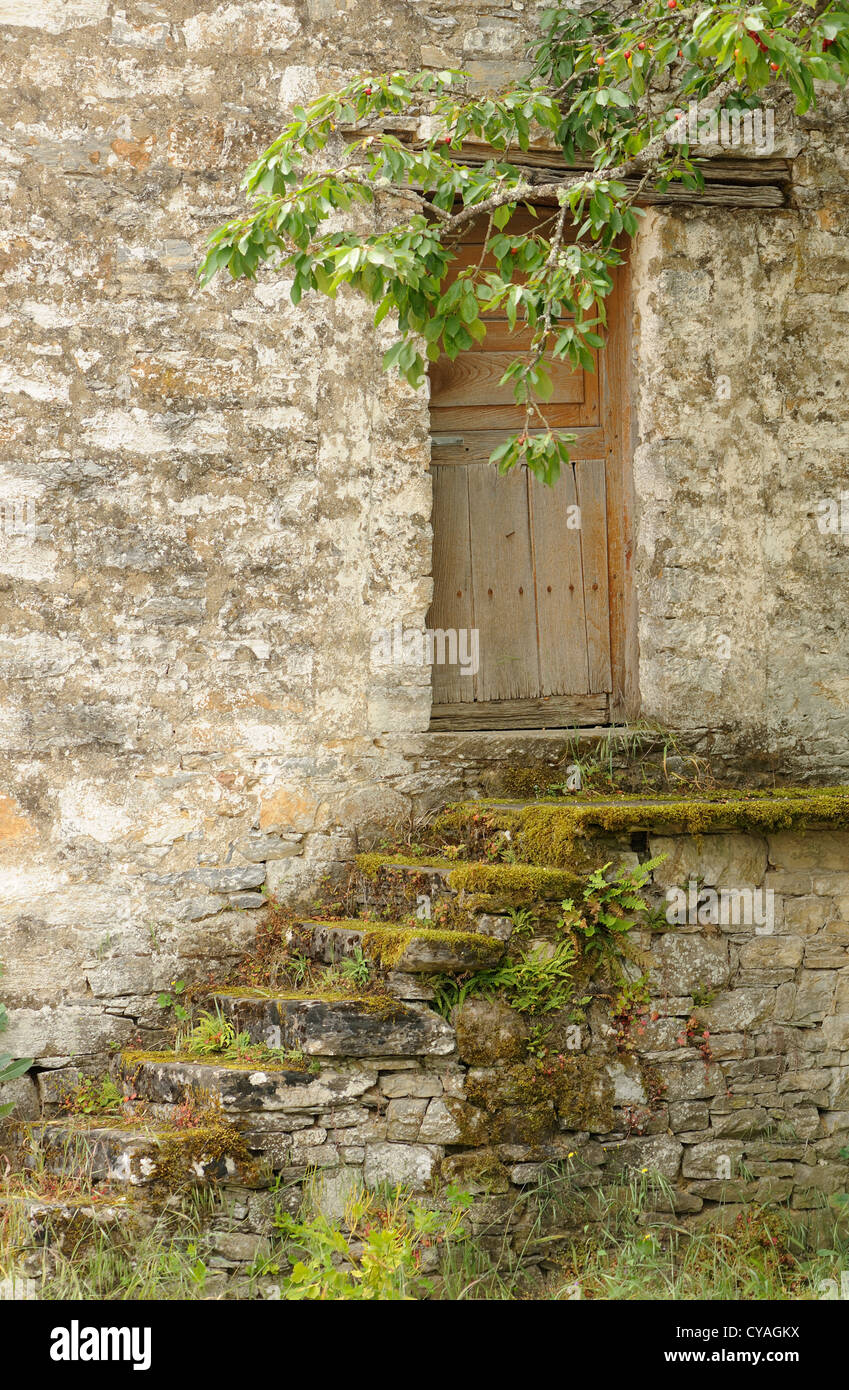 Moss-covered stone steps leading to an ancient wooden door in a stone ...