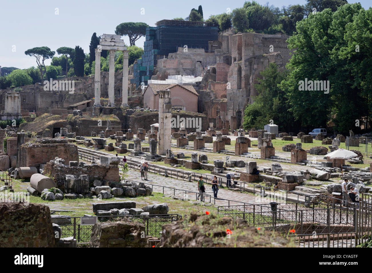 OLD FORUM ROME ITALY Stock Photo - Alamy