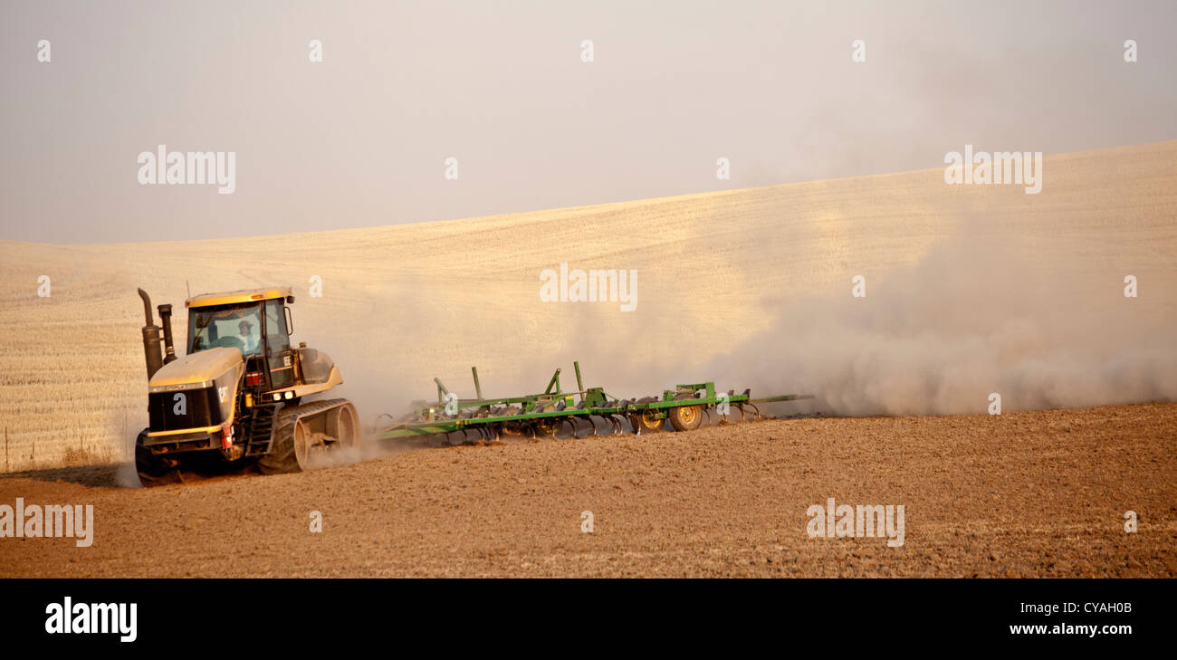 Tractor throwing up dust whilst harrowing in wheat fields in the ...