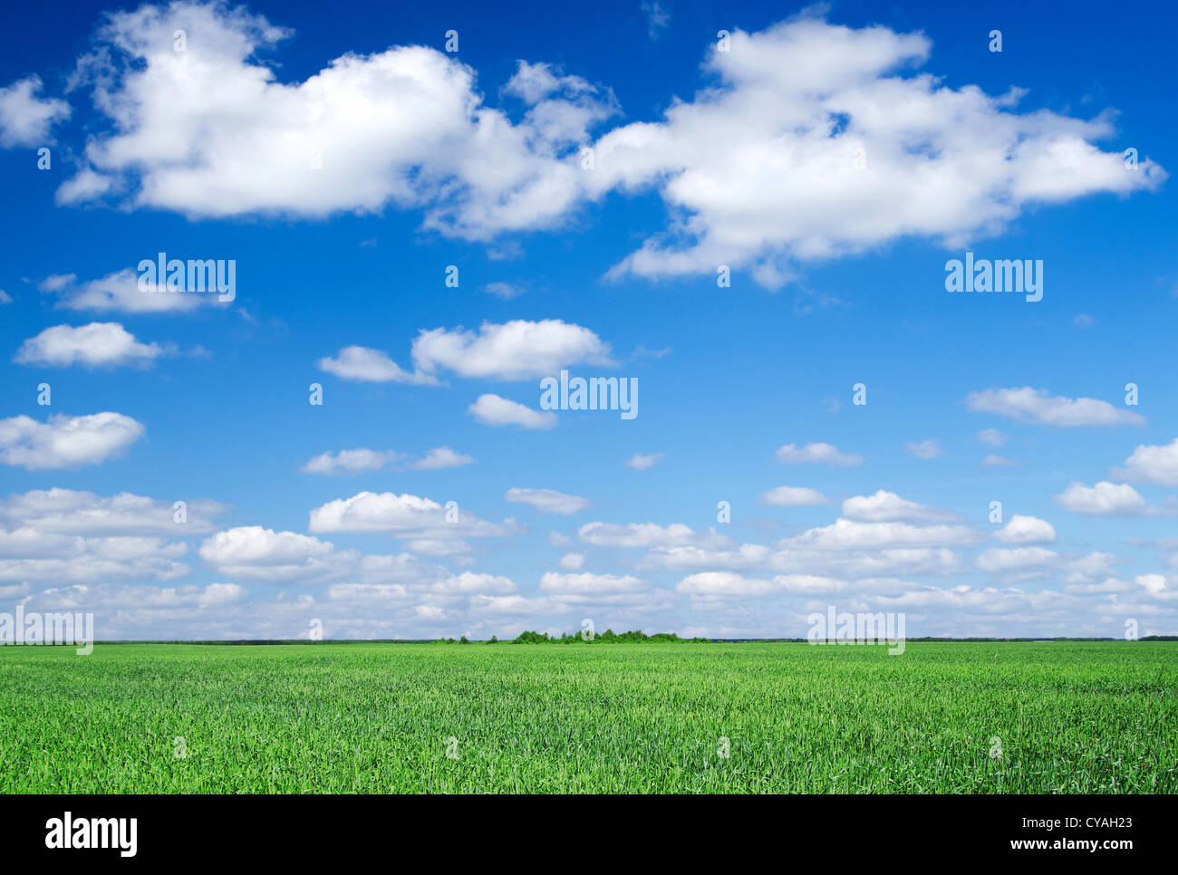 green field and blue sky Stock Photo - Alamy
