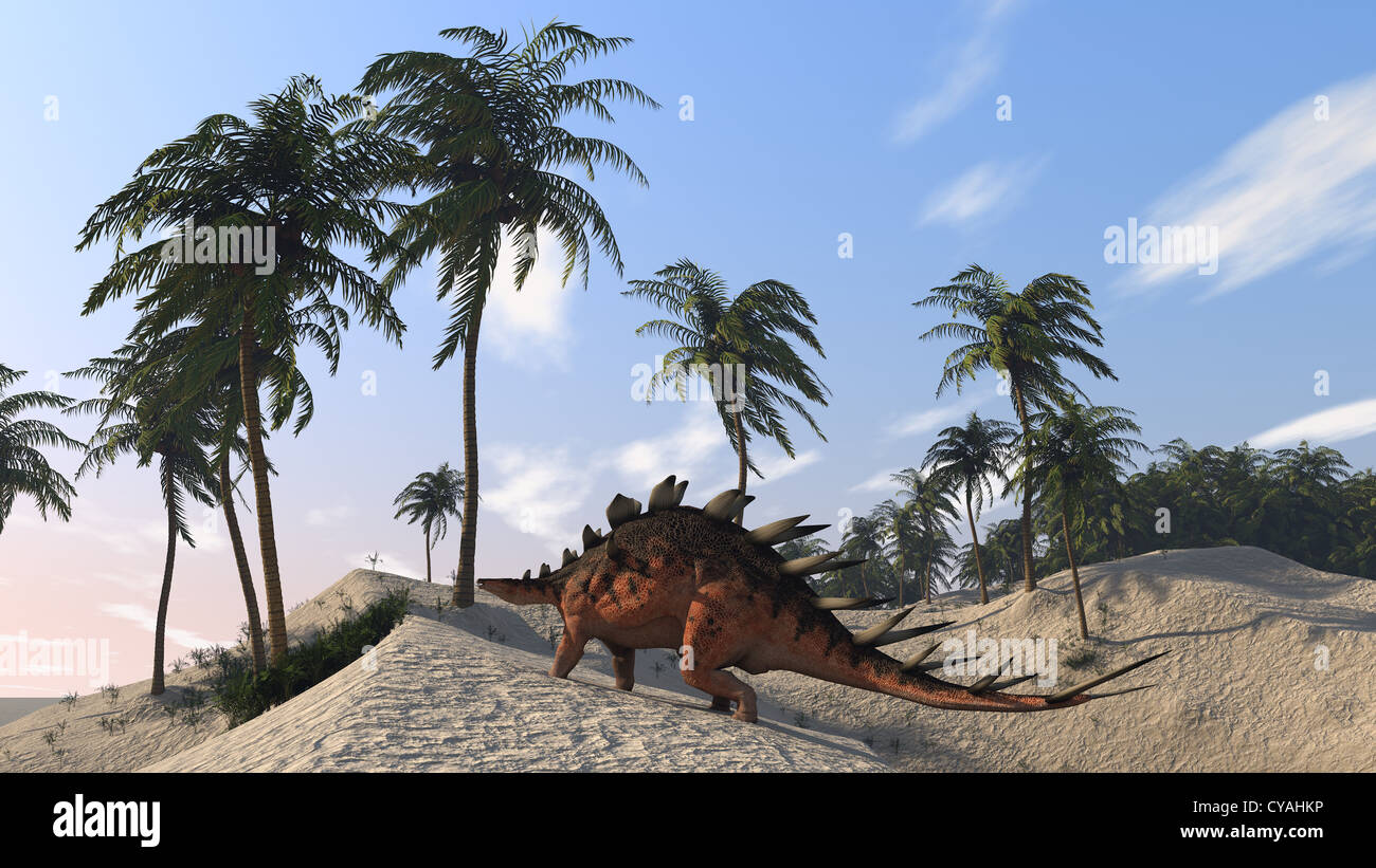 3d illustration of the walking kentrosaurus dinosaur Stock Photo - Alamy