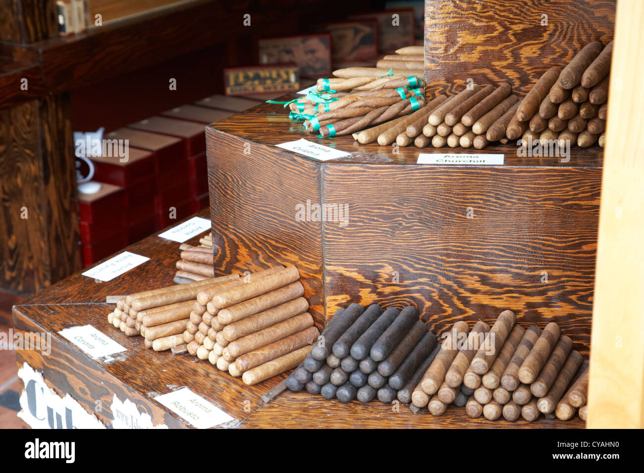 cuban style cigars on sale in a shop in key west florida usa Stock ...