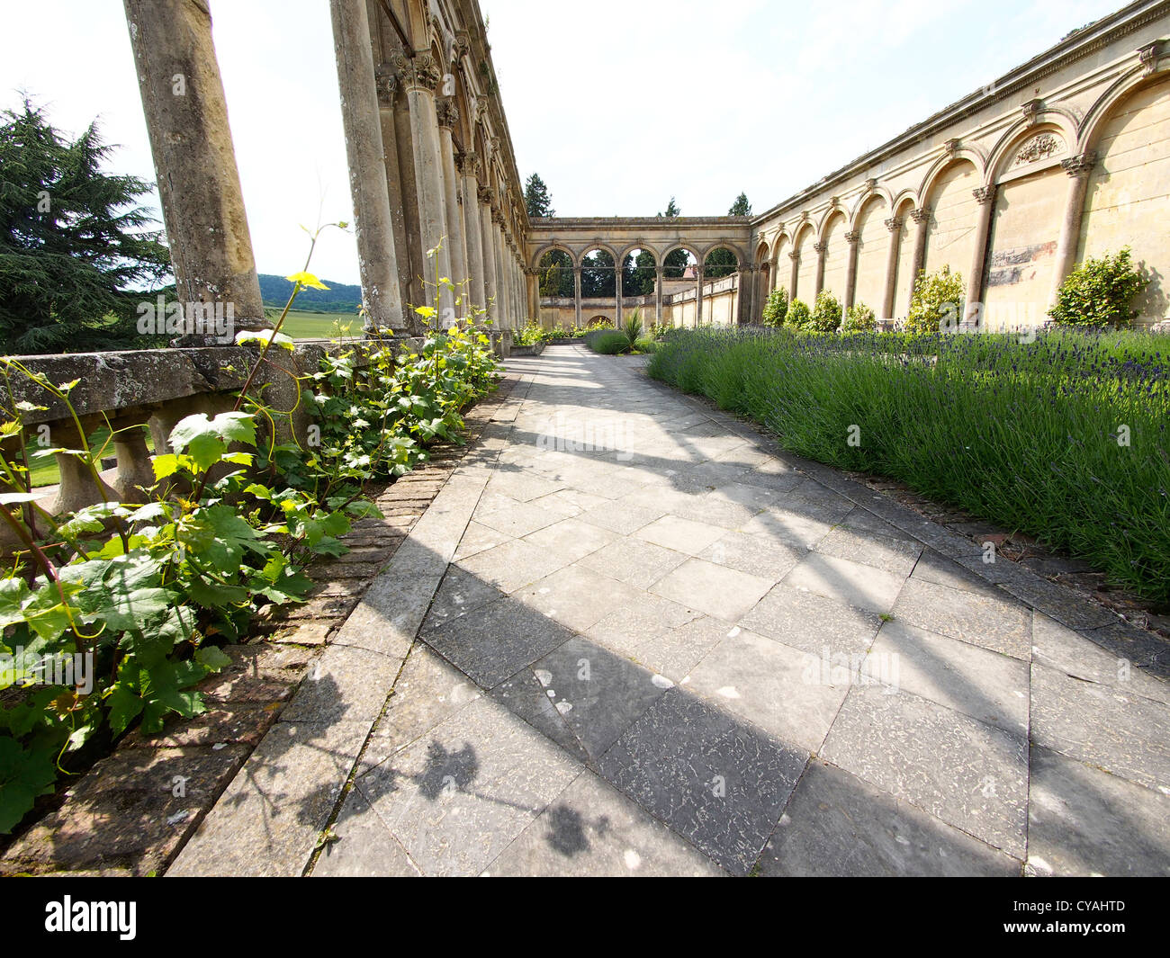 Witley estate hi-res stock photography and images - Alamy