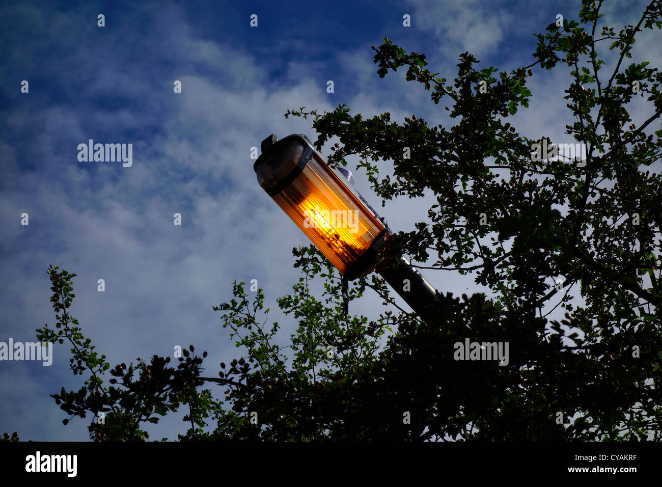 lamp post at night Stock Photo - Alamy