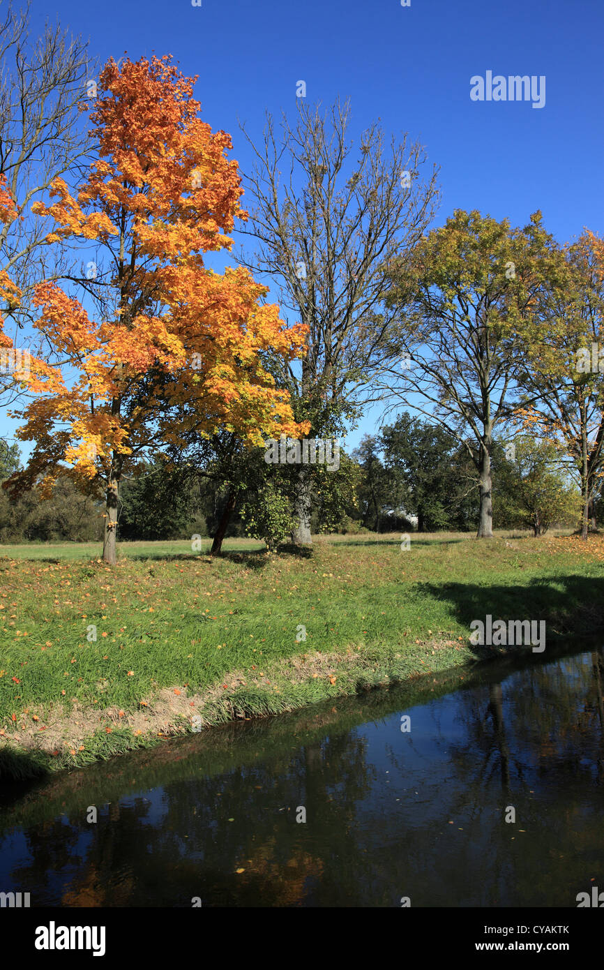 rural country with creek and maple tree at fall foliage. Photo by Willy ...