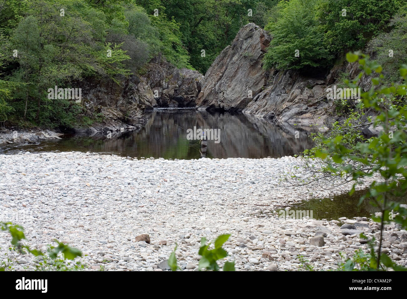 Casting a line fly fishing in a pool in front of shingle the River ...