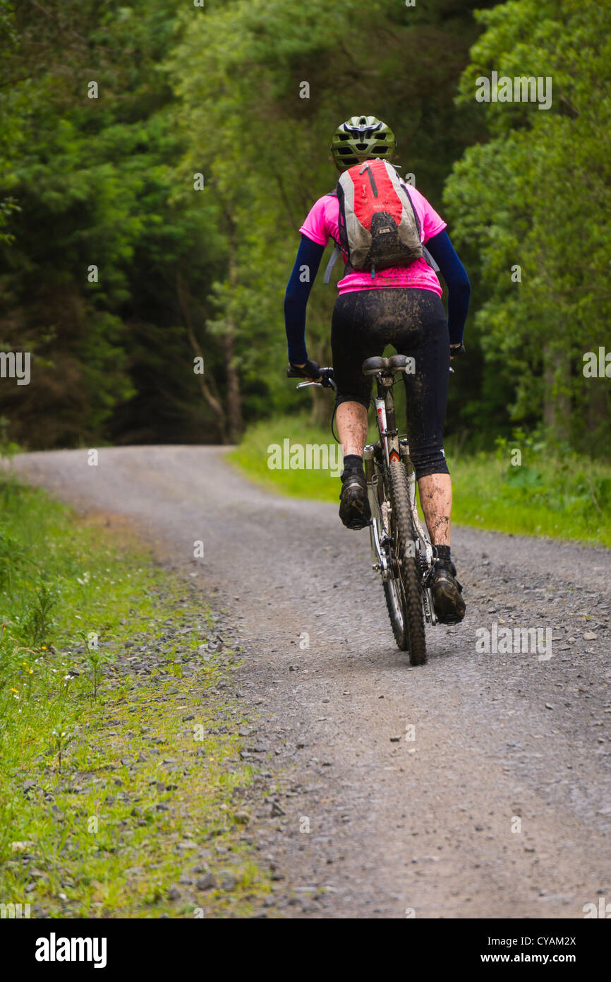 Slaley forest hi-res stock photography and images - Alamy