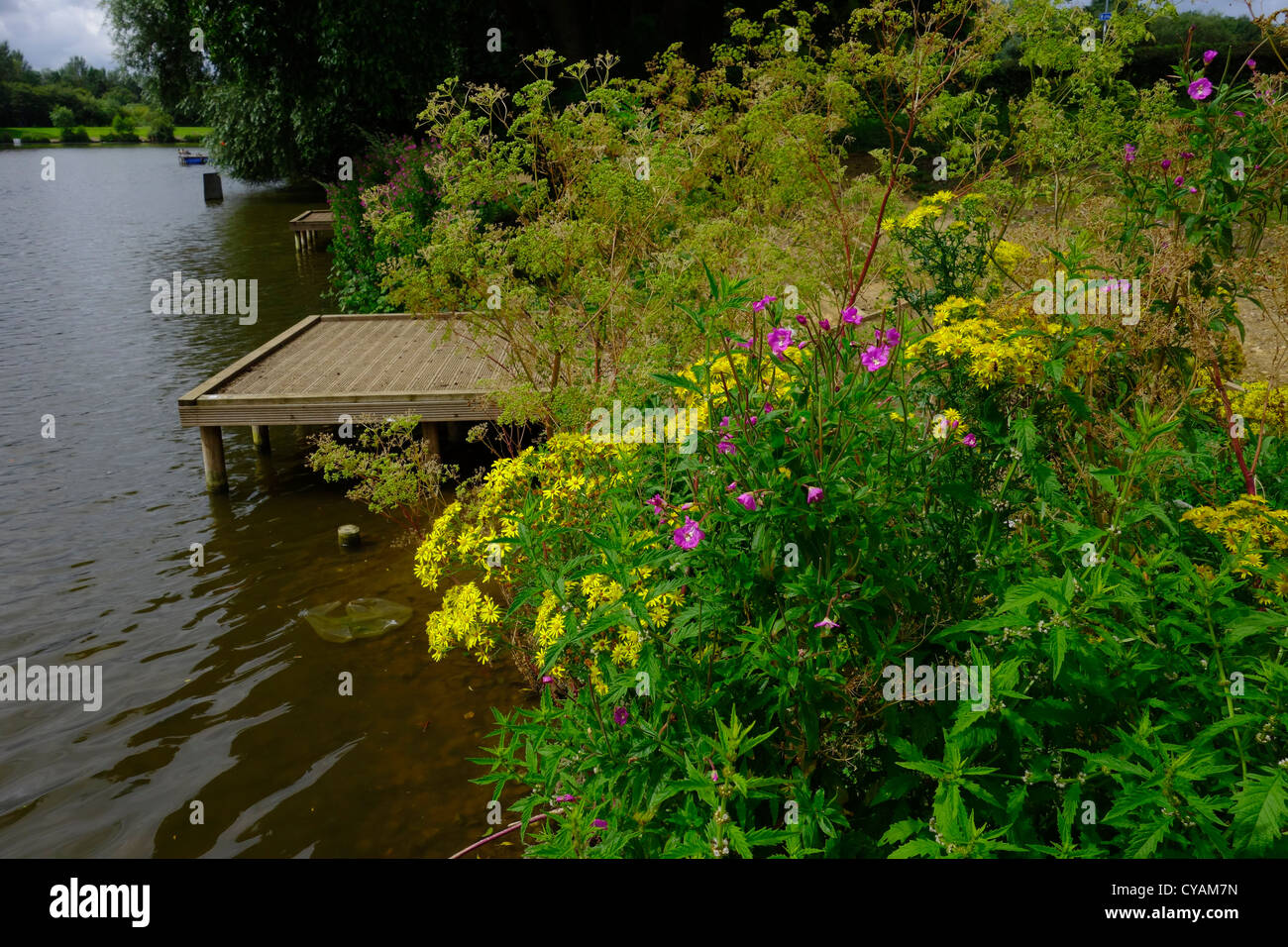 lake water wild flowers Stock Photo - Alamy