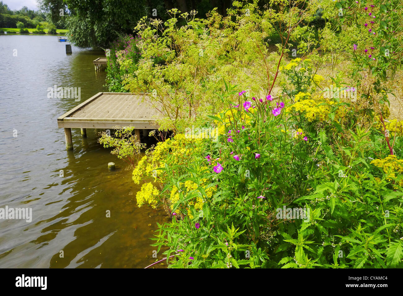 Plants growing next to a river hi-res stock photography and images - Alamy