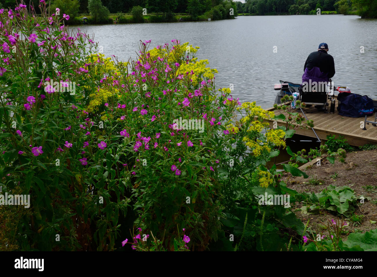Flowers swans river water hi-res stock photography and images - Alamy