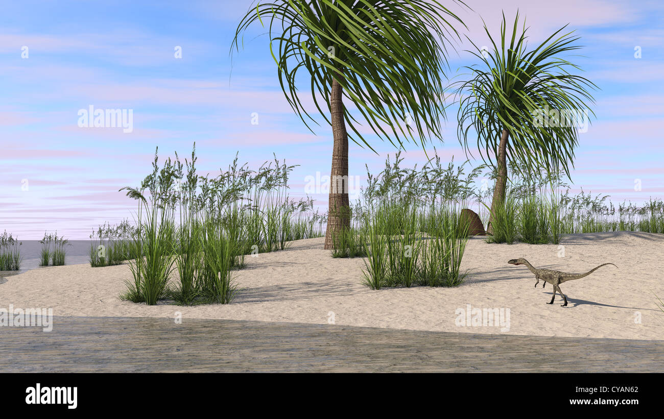 Coelophysis tooth hi-res stock photography and images - Alamy