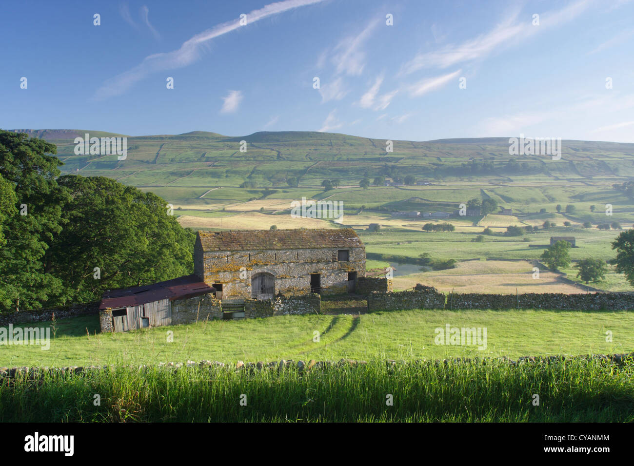 Stone barn, drystone walls and River Ure, Burtersett, near Hawes ...