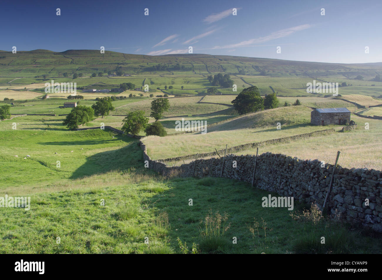 Stone barn, drystone walls and River Ure, Burtersett, near Hawes ...