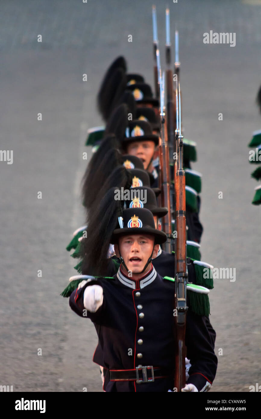 The kings royal rifles corps or 60th rifles hi-res stock photography and images - Alamy
