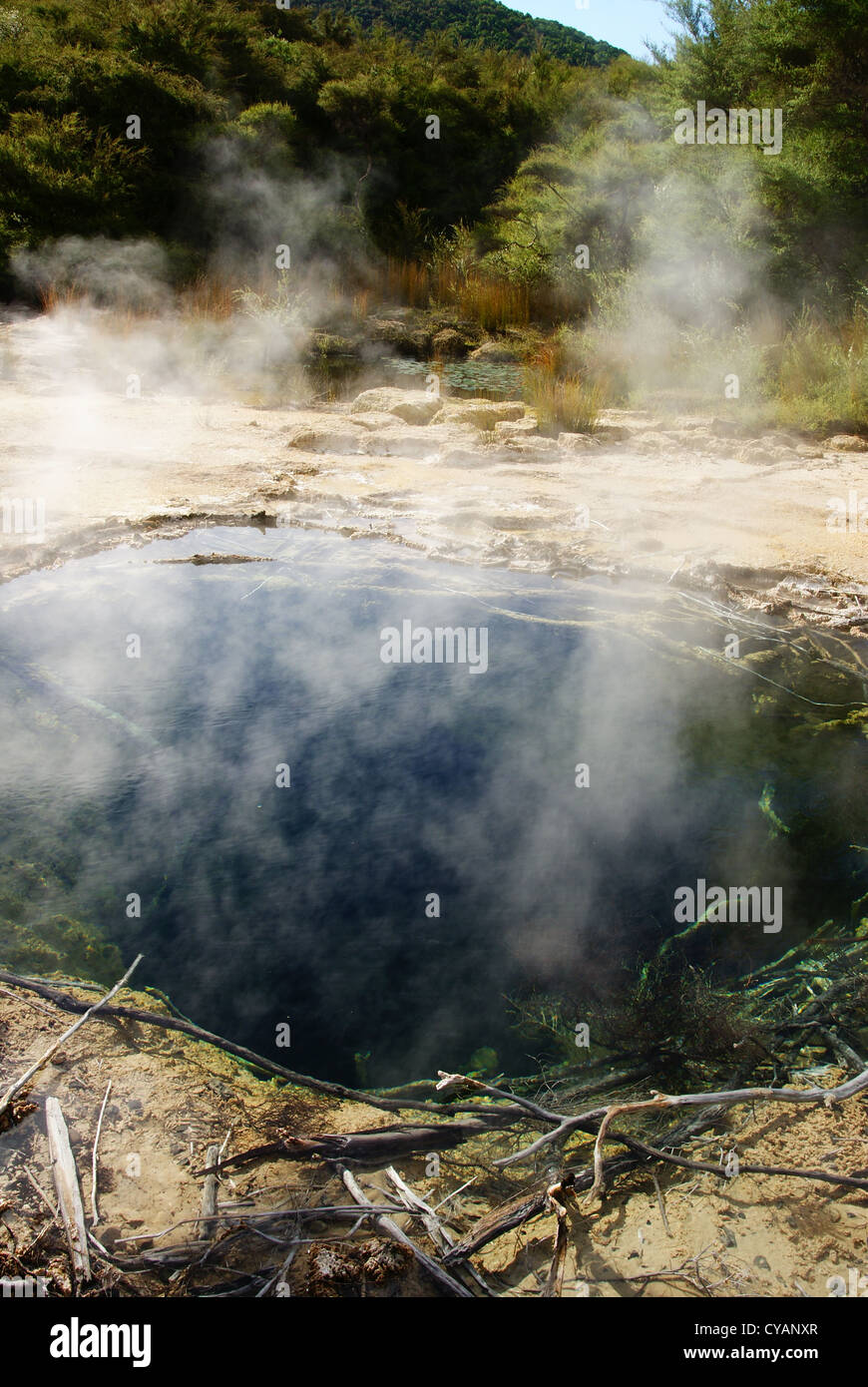 Steam thermal geyser new zealand hi-res stock photography and images ...