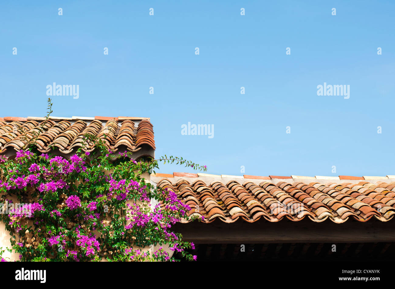 Tile roof and purple flowers. Blue sky copy space Stock Photo - Alamy