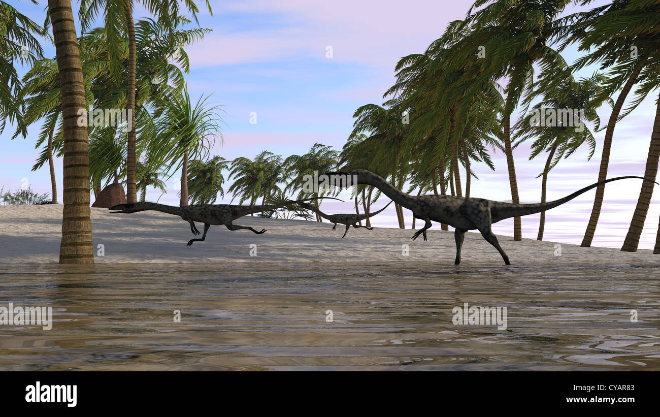 Coelophysis tooth hi-res stock photography and images - Alamy