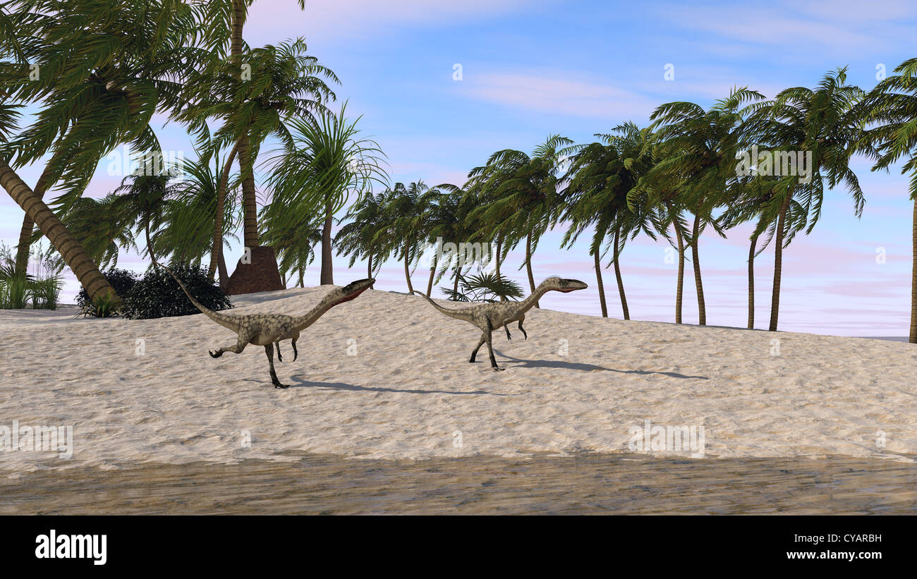 Coelophysis tooth hi-res stock photography and images - Alamy