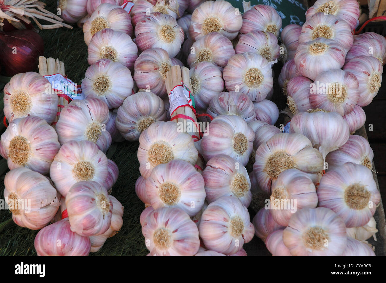 Garlic display hi-res stock photography and images - Alamy
