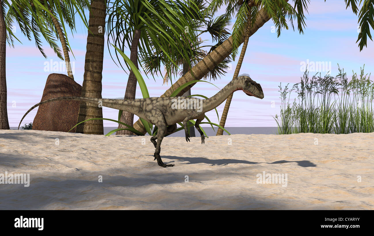 Coelophysis tooth hi-res stock photography and images - Alamy