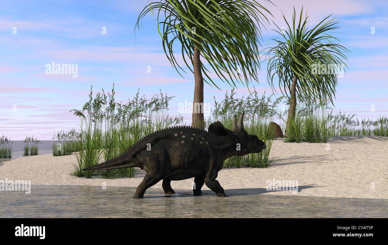 3d illustration of the walking diceratops Stock Photo - Alamy